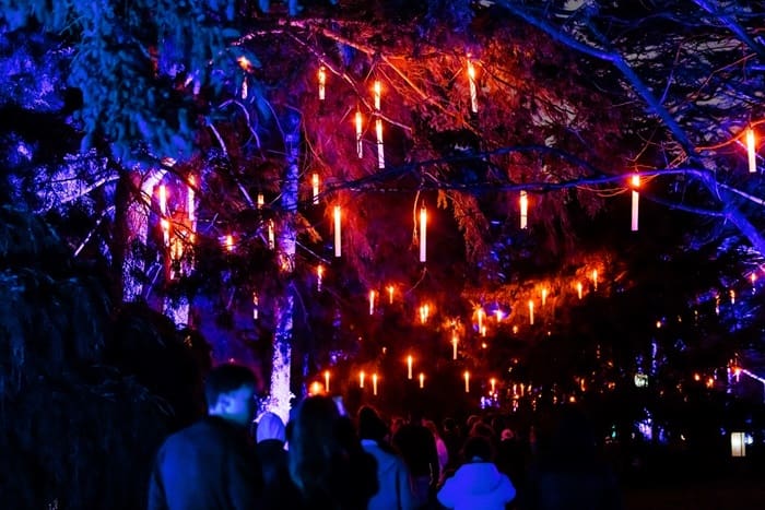 Belton House Christmas Lights 2025 - Christmas.co.uk