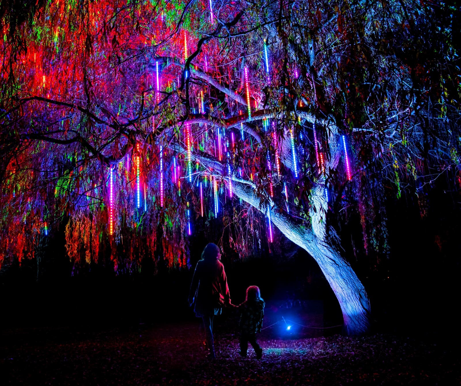 Dunham Massey Christmas lights trail 2025 - Christmas.co.uk