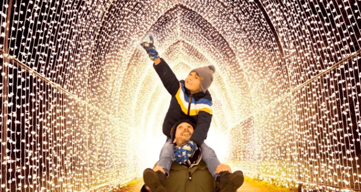 Illuminated light trails: A magical Christmas experience - Christmas.co.uk