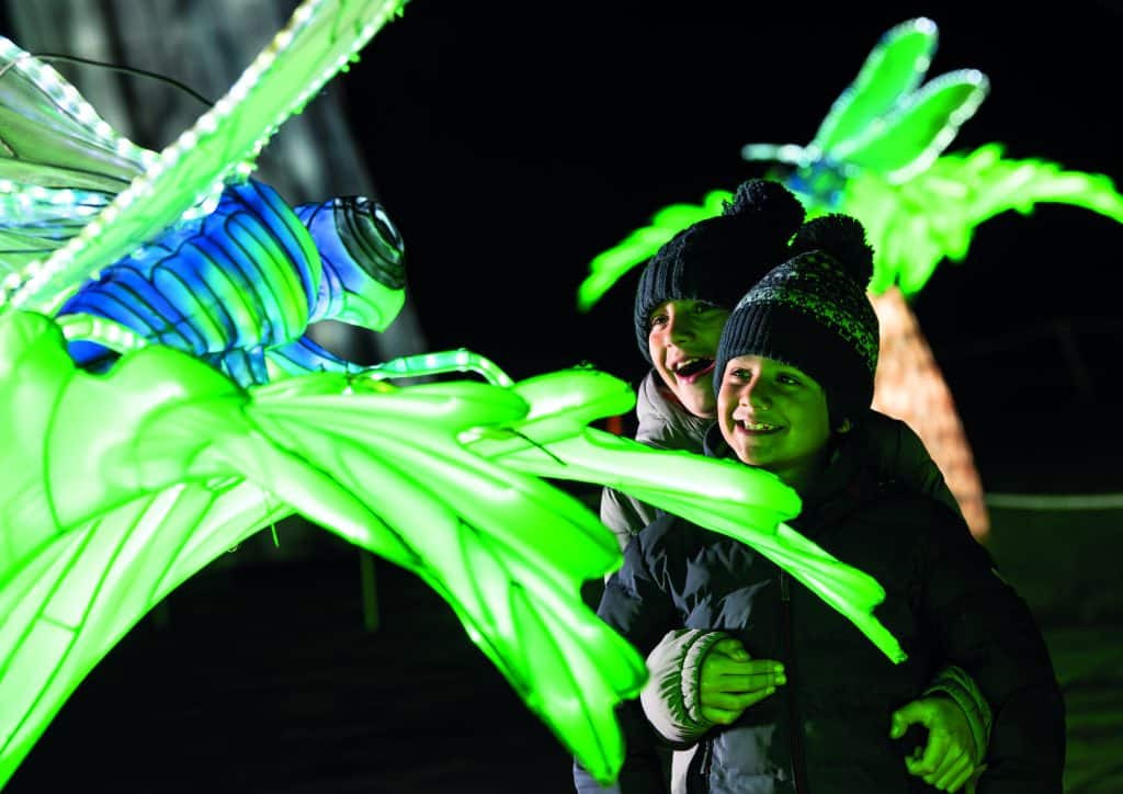 Longleat Festival of Light 2025 - Christmas.co.uk